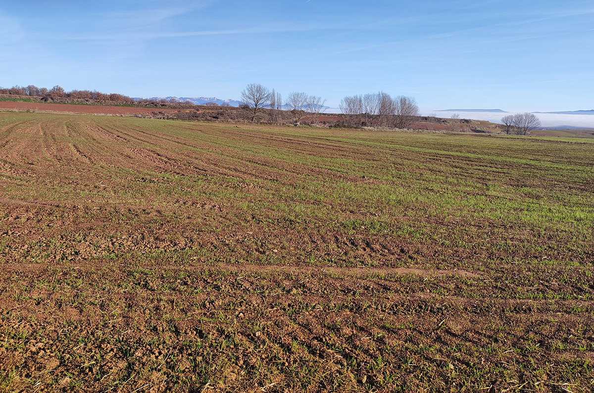 Soil for mitigation and adaptation to climate change